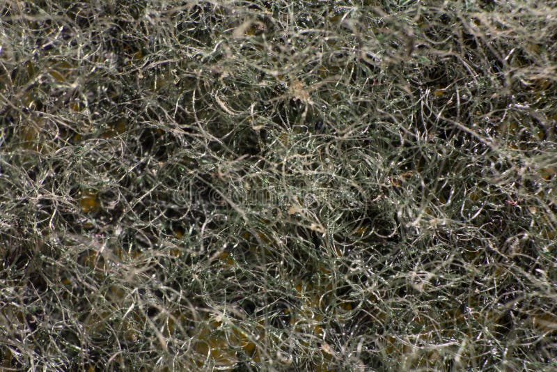 Sponge Super Macro stock image. Image of detail, color - 30545847