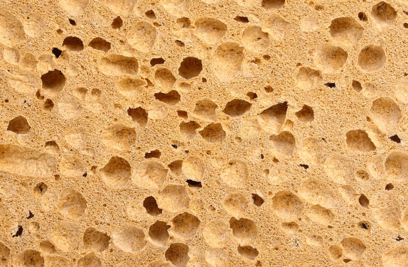Sponge texture stock photo. Image of closeup, natural - 10947490
