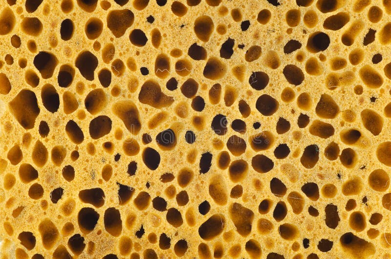 Sponge texture stock photo. Image of soft, rough, pattern - 22097588