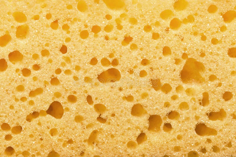 Sponge Texture stock image. Image of household, sponge - 28382037