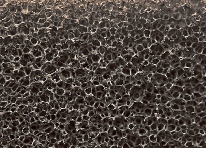 Sponge Texture for Background Stock Photo - Image of meristem, disease ...