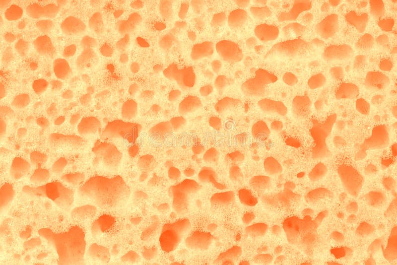 Sponge Texture Background Micro Shot Stock Photos - Free & Royalty-Free ...