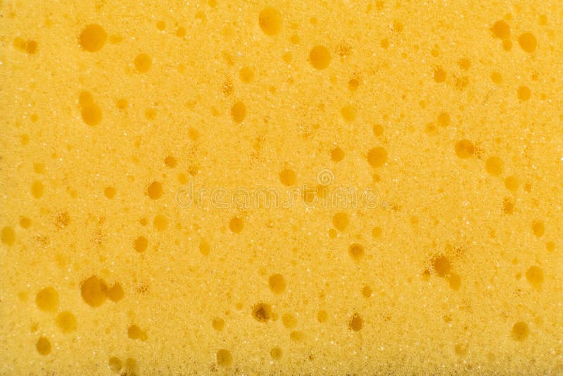 Sponge texture background. stock photo. Image of abstract - 175627174