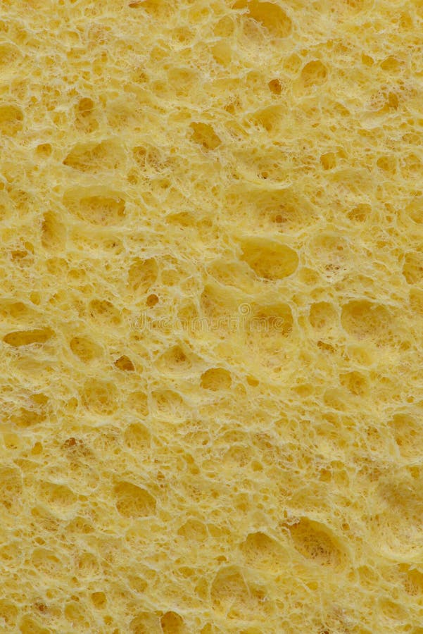 Sponge Texture Closeup Background Stock Photo - Image of macro, detail ...