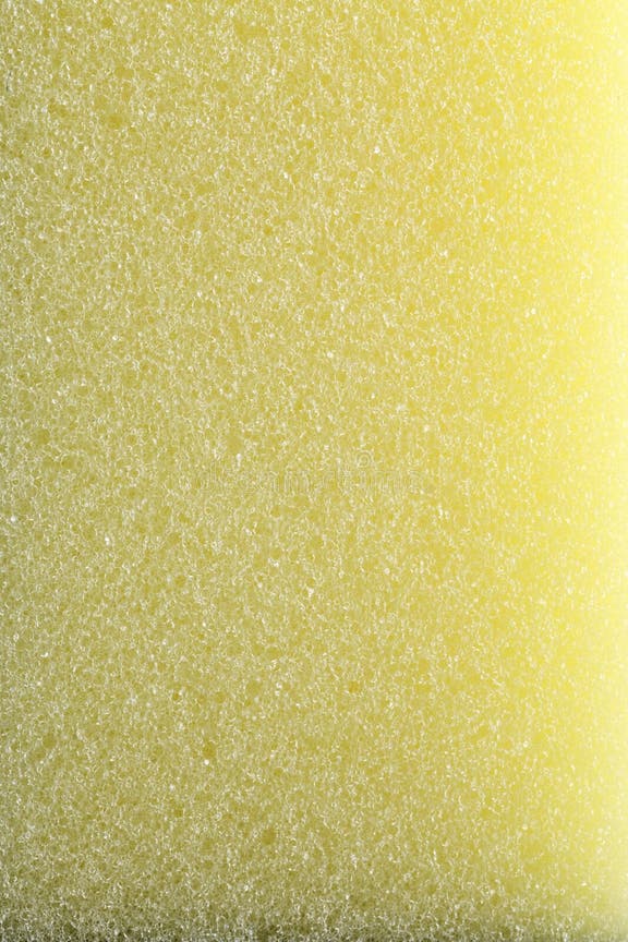 Sponge stock image. Image of sponge, frame, full, shot - 49292031