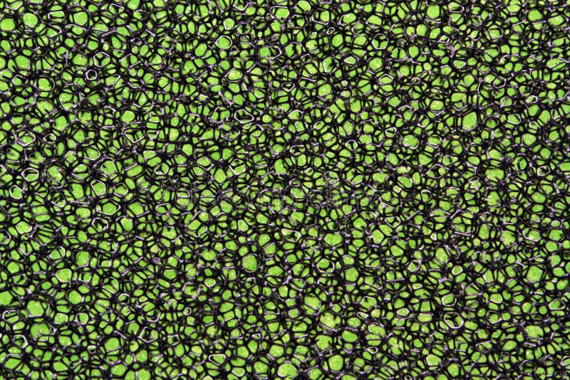 Sponge texture stock image. Image of shiny, soft, fabric - 33276527