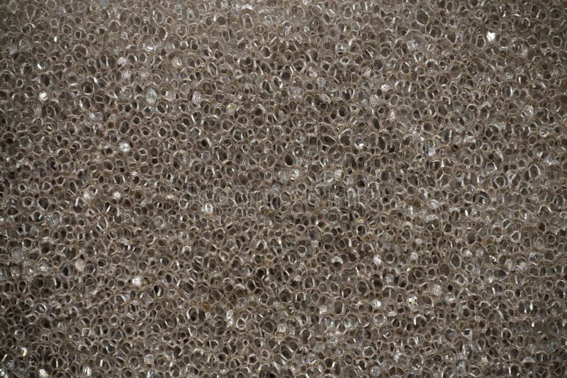 Sponge Texture Macro Close Up Stock Image - Image of sponge, rough ...