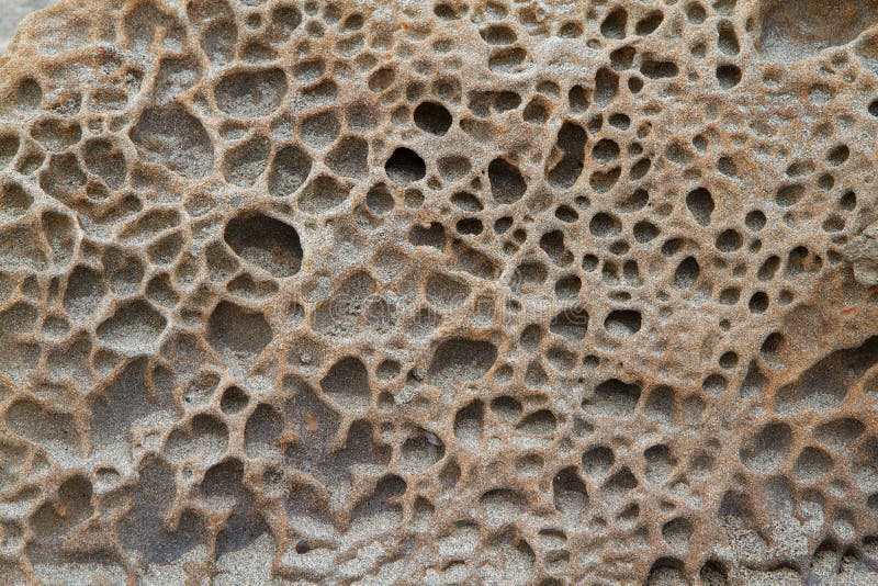 Sponge texture stone stock image. Image of curious, vary - 15490559