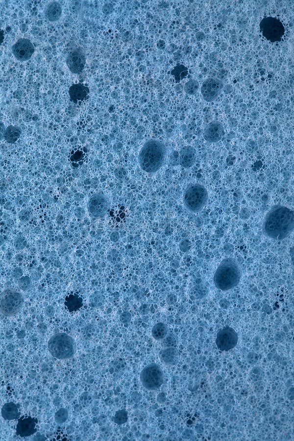 Sponge texture stock photo. Image of macro, detail, equipment - 32076800