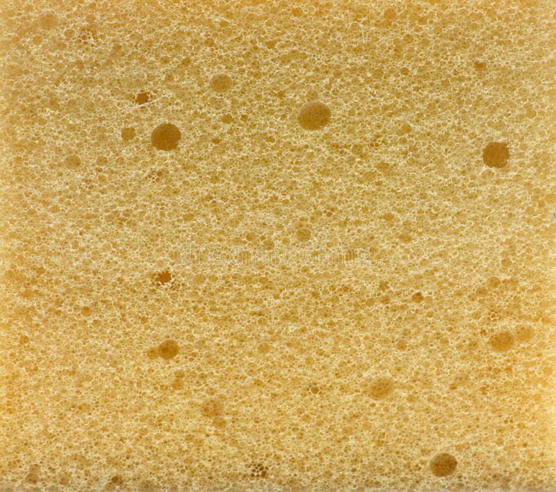 Sponge textures details stock image. Image of accessory - 65325027