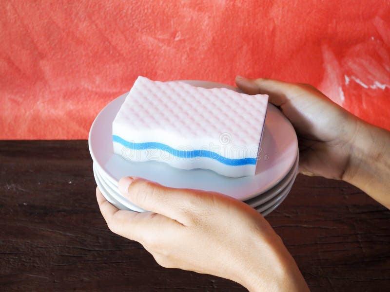 Sponge To Cleaning on White Ceramic Plate in Hand Stock Image - Image ...