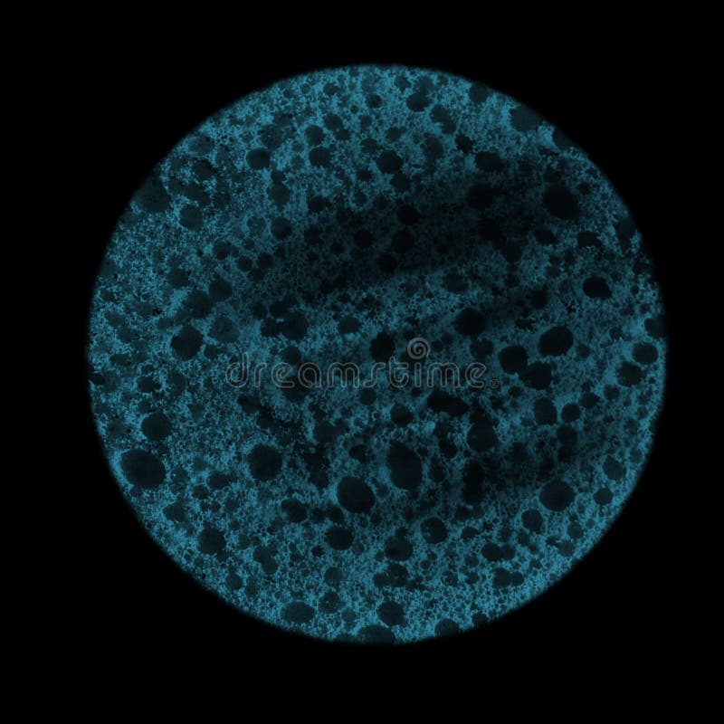 Sponge,turquoise Sponge Texture,beautiful and Black in a Circle on a ...