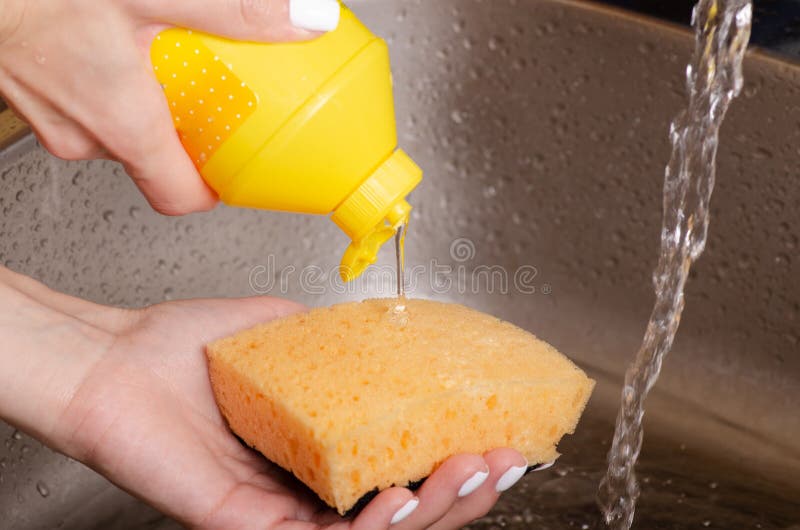 Sponge for Washing Dishes Detergent in Hands Washing Stock Photo ...