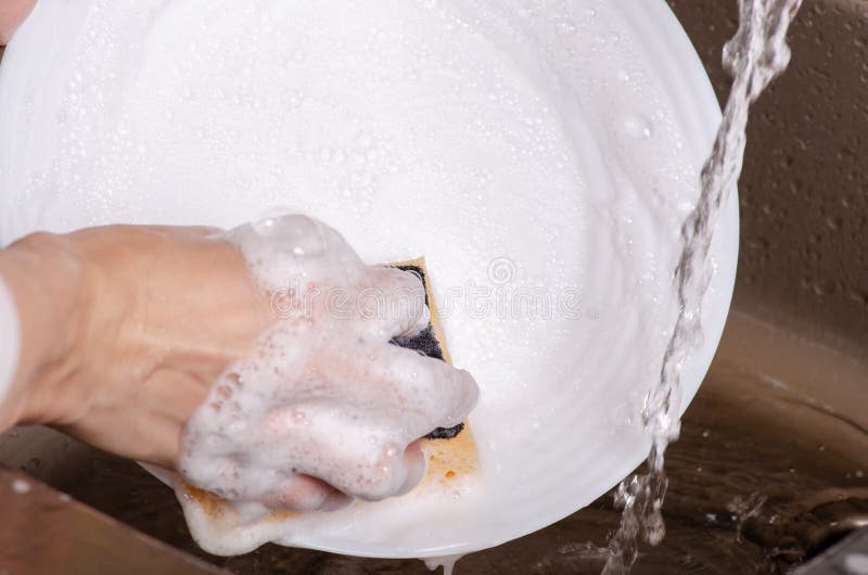 Sponge for Washing Dishes Dish in Hands Stock Photo - Image of human ...