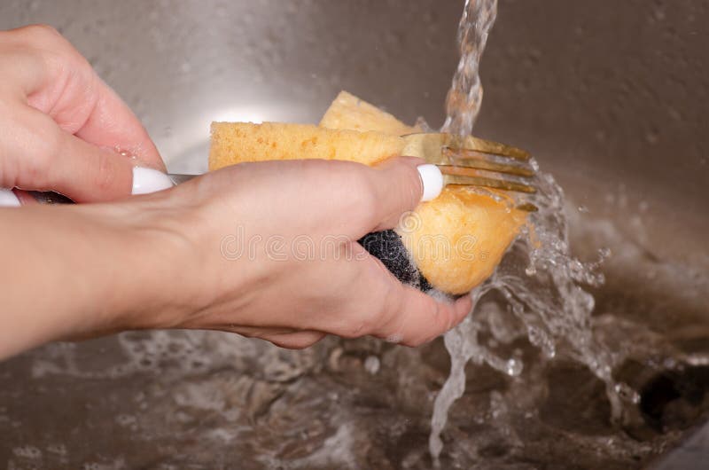 Sponge for Washing Utensils a Fork in the Hands Stock Image - Image of ...