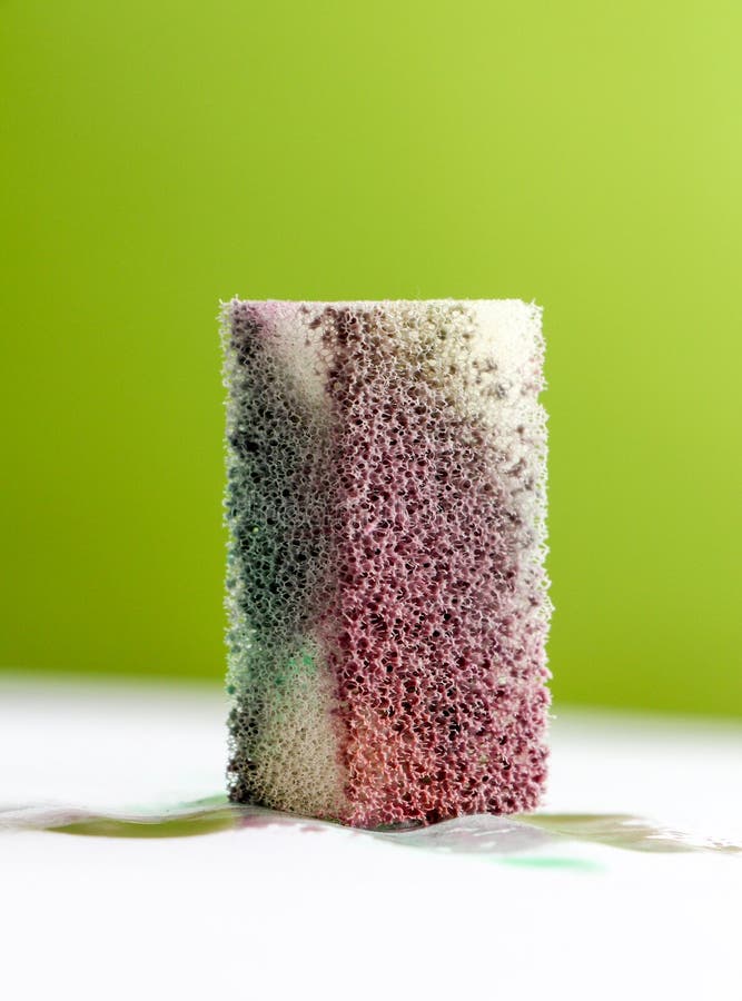 Sponge with Watercolor Paint. Color Concept Stock Photo - Image of ...