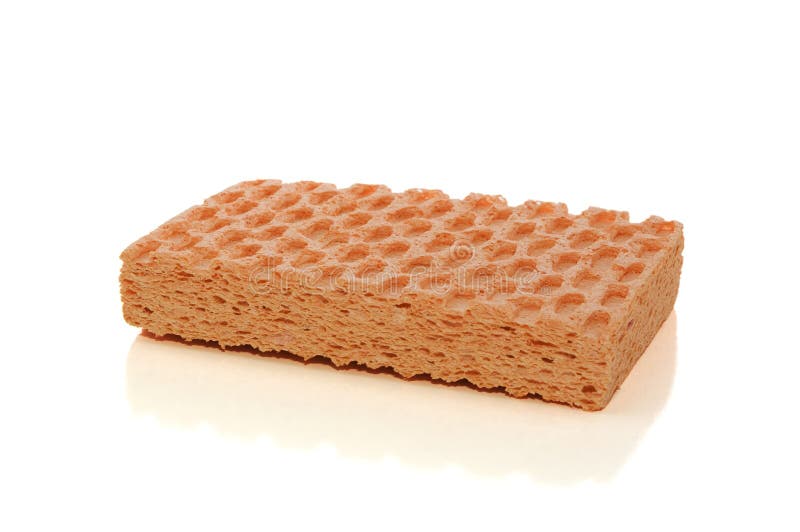 A purple square sponge stock photo. Image of absorbant - 14238724
