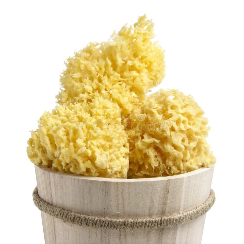 Sponges stock image. Image of accessory, soft, natural - 14963093