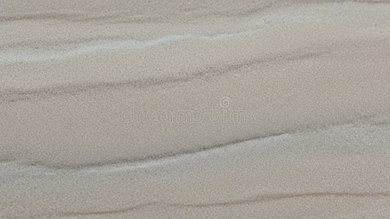 Soft Spongy Appearance Stock Illustrations – 182 Soft Spongy Appearance ...