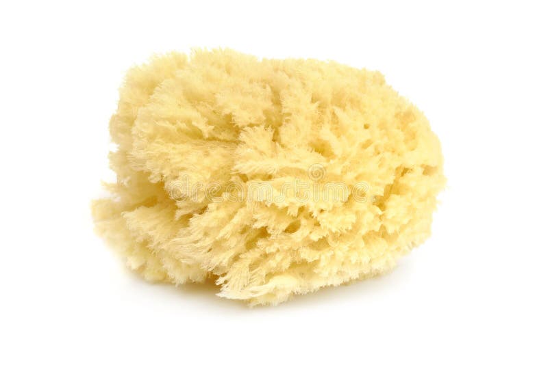 Natuurlijke badspons stock foto. Image of grooming, huid - 22514298