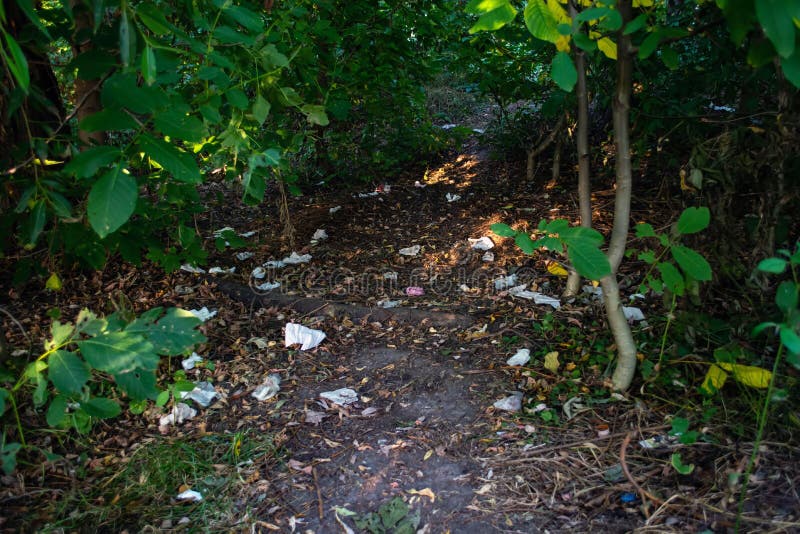 Spontaneous, Unauthorized Toilet in the Forest. the Path is Littered ...