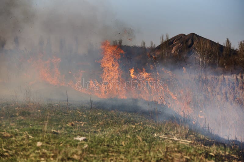 Spontaneous Uncontrolled Spread of Fire Stock Image - Image of damage ...