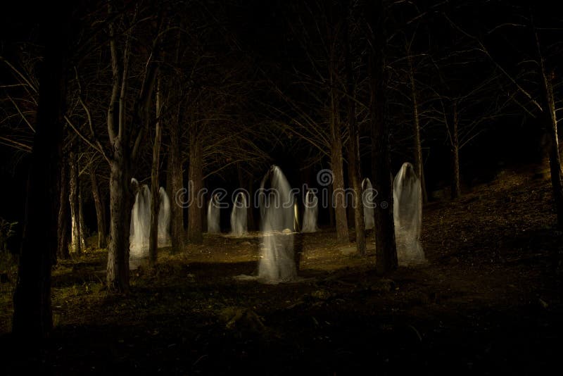 Geestfamilie in Het Donkere Bos Stock Afbeelding - Image of donker ...