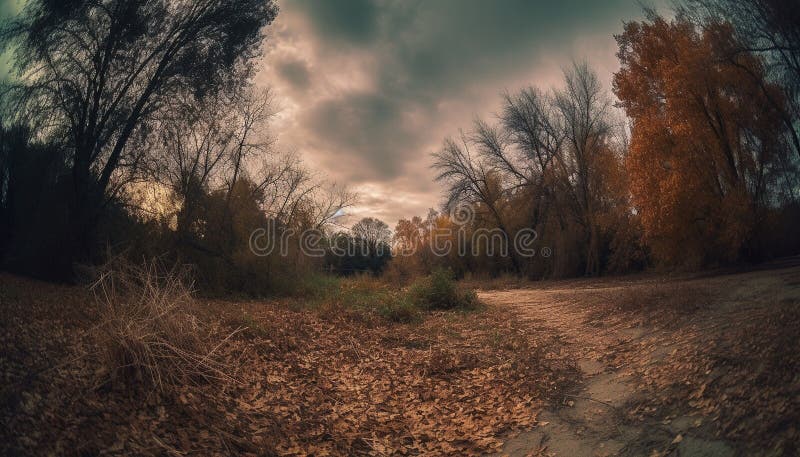 A Spooky Autumn Dusk on a Dry Single Lane Road Generated by AI Stock ...