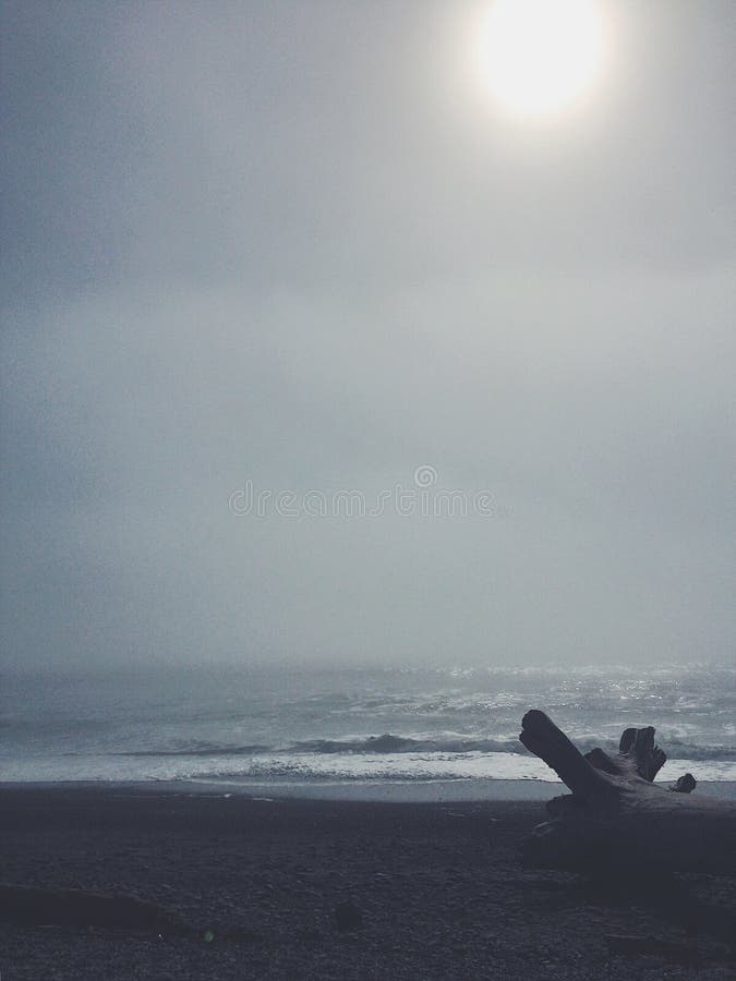 Spooky beach stock photo. Image of fallen, light, hiking - 91439816