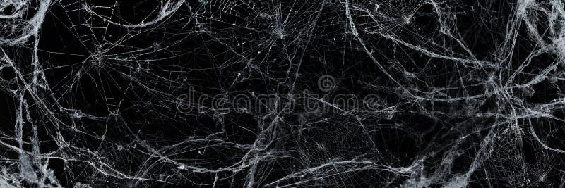 Spooky Cobweb in the Darkness Stock Photo - Image of spider, halloween ...