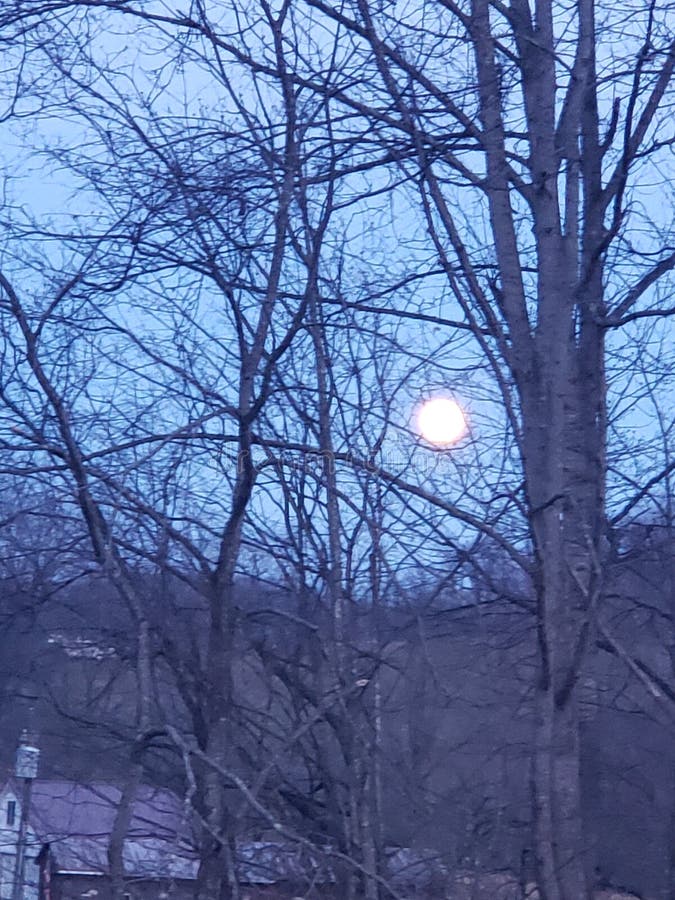 Spooky Cold Weather Moon Time Stock Image - Image of moon, weather ...
