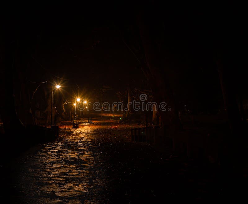 Spooky Empty Pathway Illuminated by Lanterns in a Park at Night Stock ...