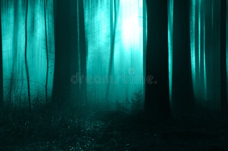 A Spooky Forest on a Misty Day in Winter. with a Blurred, Blue Green ...
