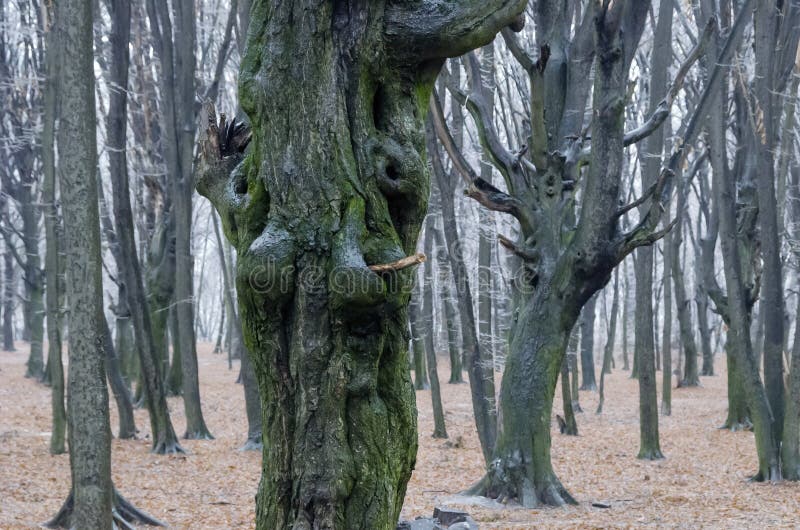 Moody Monsters Stock Photos - Free & Royalty-Free Stock Photos from ...