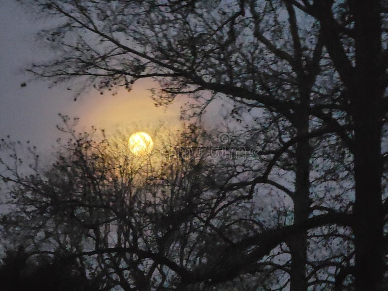 Spooky full moon stock image. Image of evening, nature - 250107127