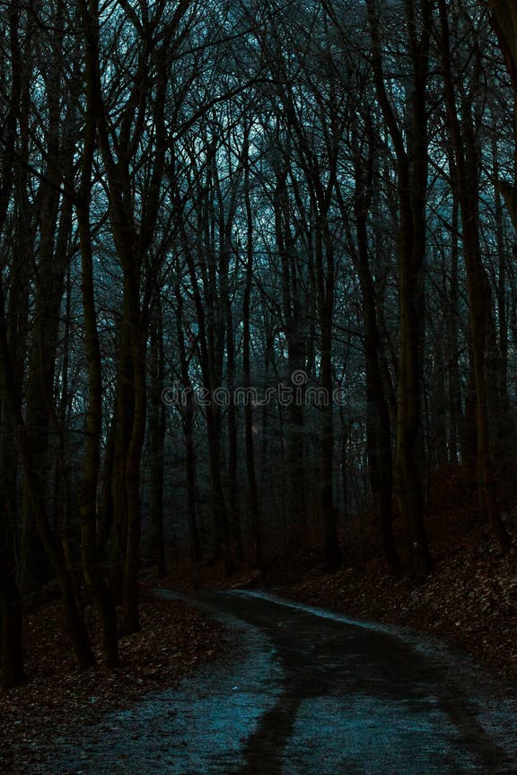Spooky Horror Night Forest Path Stock Photo - Image of countryside ...