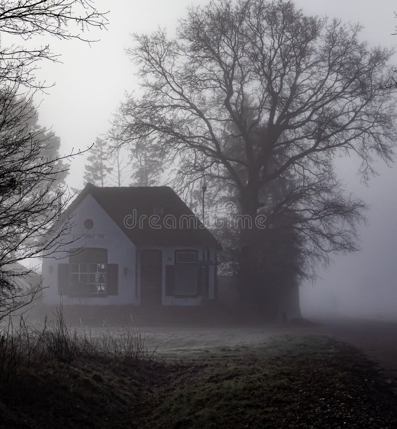 Spooky house in the mist stock photo. Image of morning - 368597590