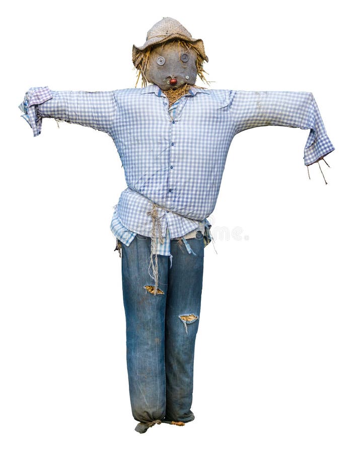 Spooky Isolated Scarecrow stock photo. Image of alive - 104188204