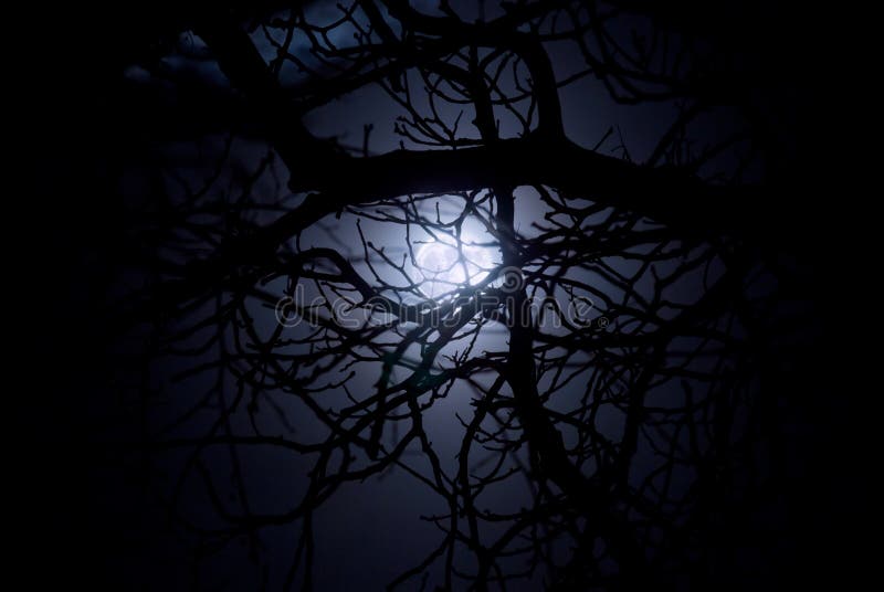 Spooky midnight moonlight stock photo. Image of dark, ghosts - 8659418