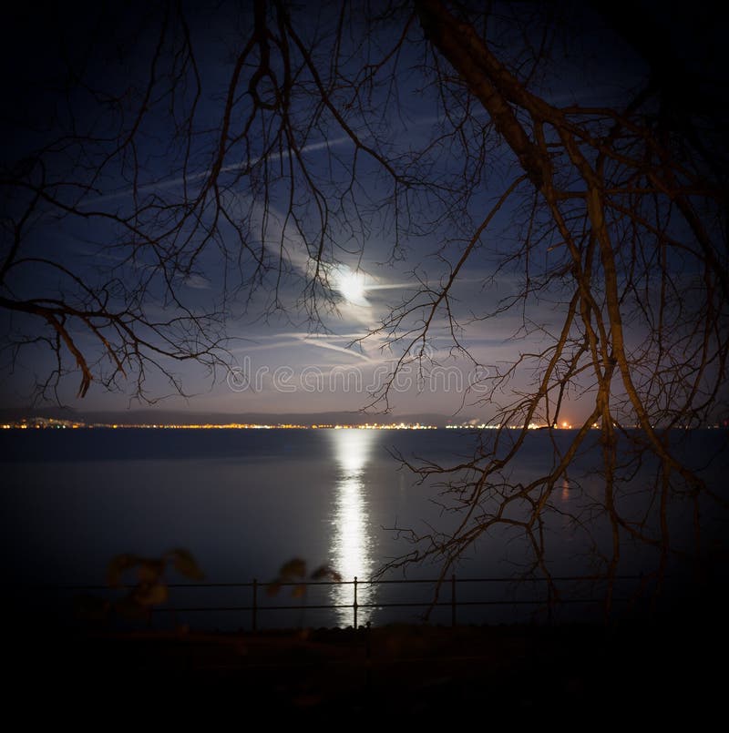 Spooky moon stock image. Image of gower, ocean, branches - 67402471