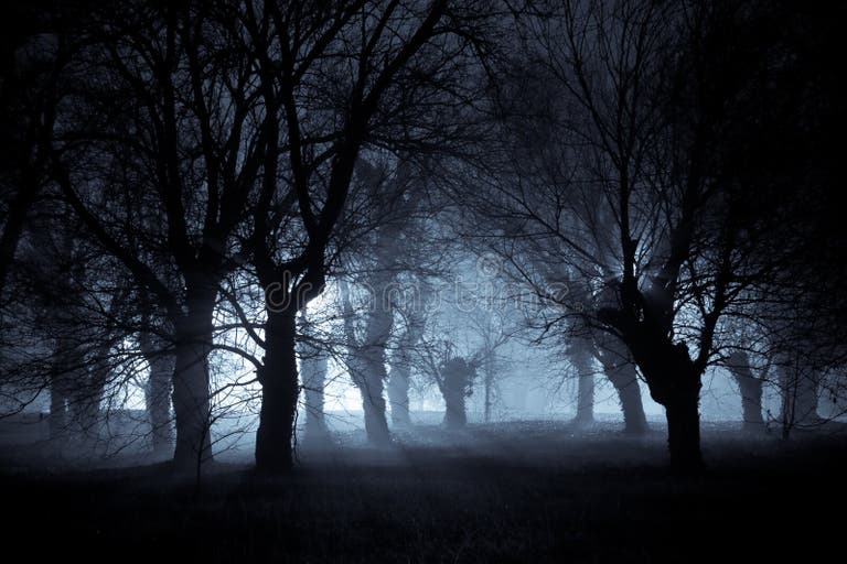 393,614 Spooky Stock Photos - Free & Royalty-Free Stock Photos from ...