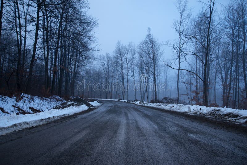 Spooky night in the nature stock image. Image of creepy - 86143585
