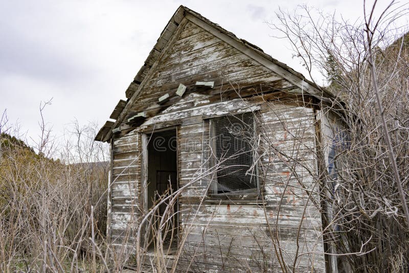 Spooky Old Shed in the Bushes Stock Photo - Image of cottage, ruins ...
