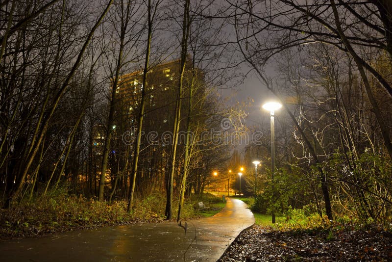 Spooky Park at a Rainy Night Stock Photo - Image of trees, outdoors ...
