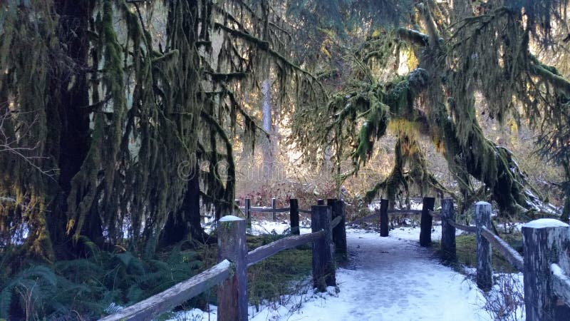 A Spooky Path Going into the Distance, on a Hill on a Foggy Day, with a ...
