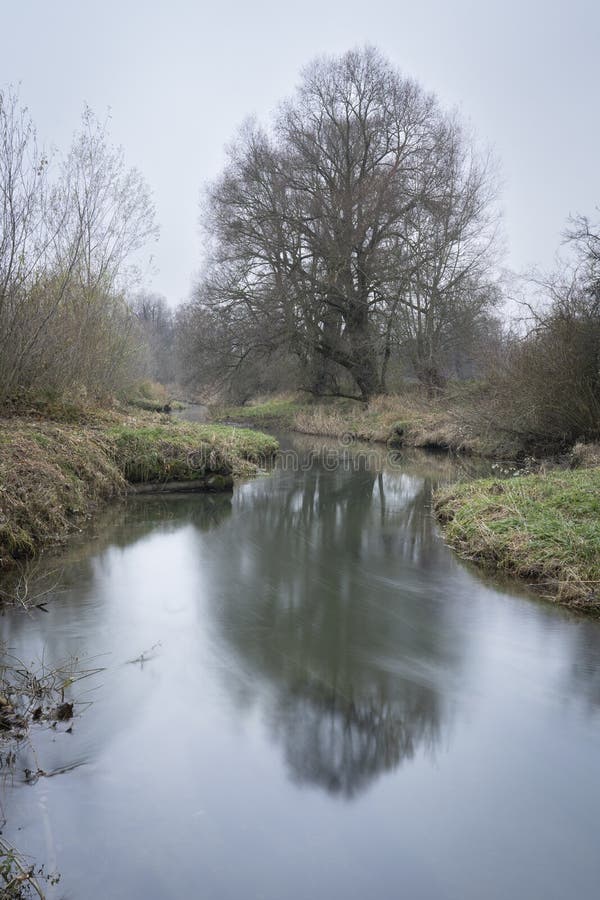 Spooky River Forrest Walk. Winter Fog through the Trees Stock Image ...