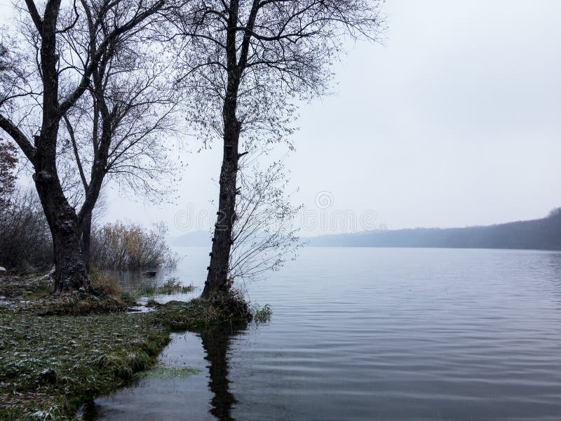 Spooky Lake with a Reflected Tree Stock Photo - Image of haunted, dusk ...