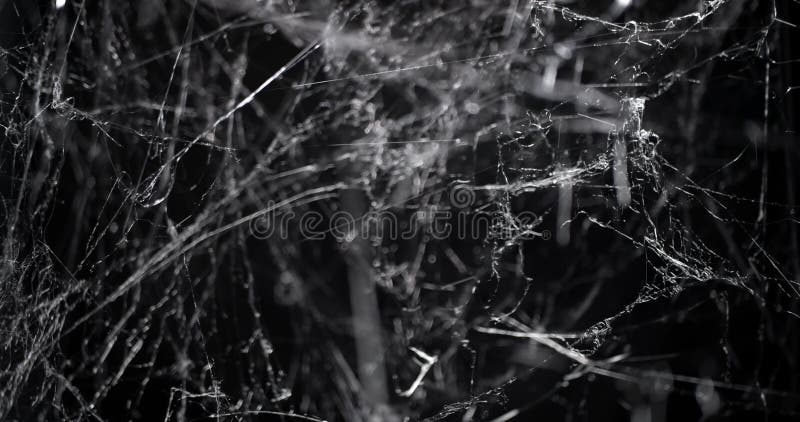 Focus on the Shaking Glass of Water on the Table. Man and Woman at the ...