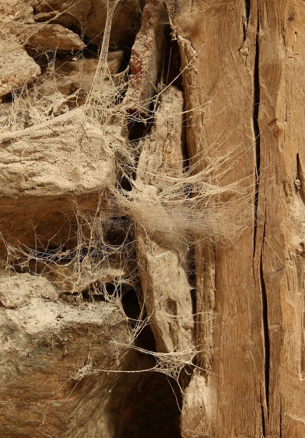 Spooky cobweb on wall stock photo. Image of vintage - 224212412