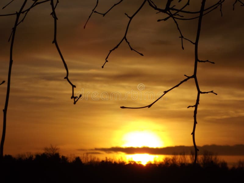 Spooky Sunset stock photo. Image of dark, sunset, spooky - 97049752
